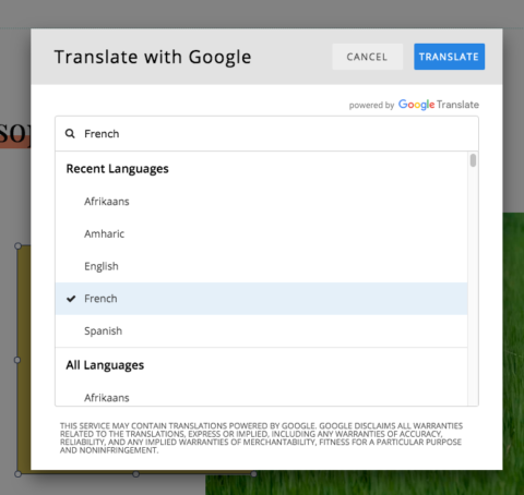 Build Your Multilingual Site With Translate with Google - Website.com Blog