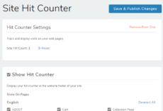 New Feature Alert: Site Hit Counter - Website.com Blog