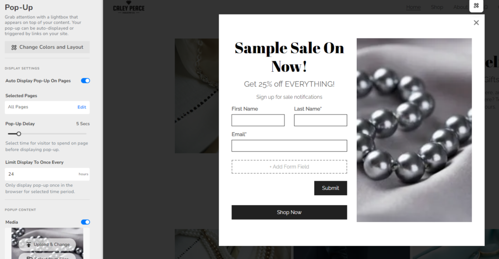 How To Add A Website Pop-Up To Convert Visitors - Website.com Blog